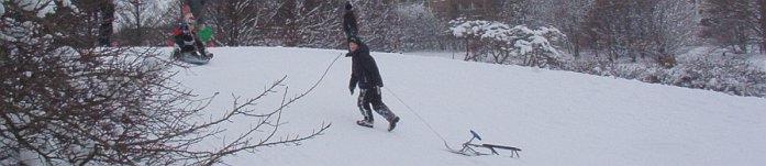 Ski Jumping: the what how where & why